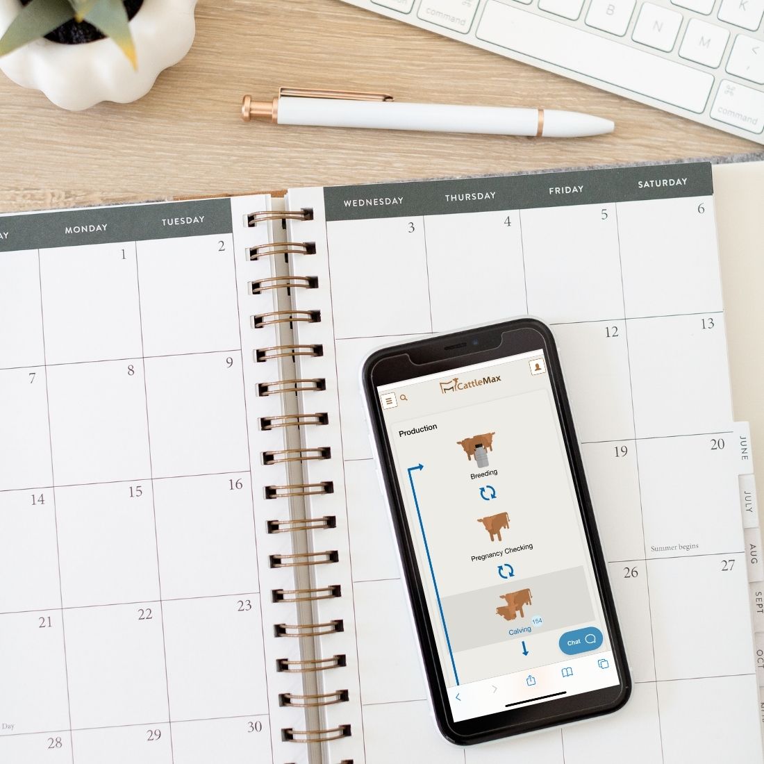 Cattle Record Keeping with CattleMax - Ogilvie Stock Ranch